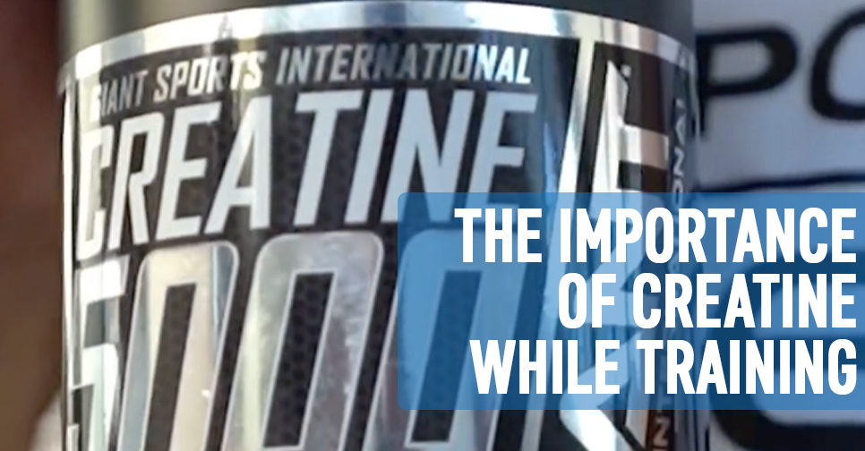 The Importance of Creatine and Proper Dosage – Giant Sports International
